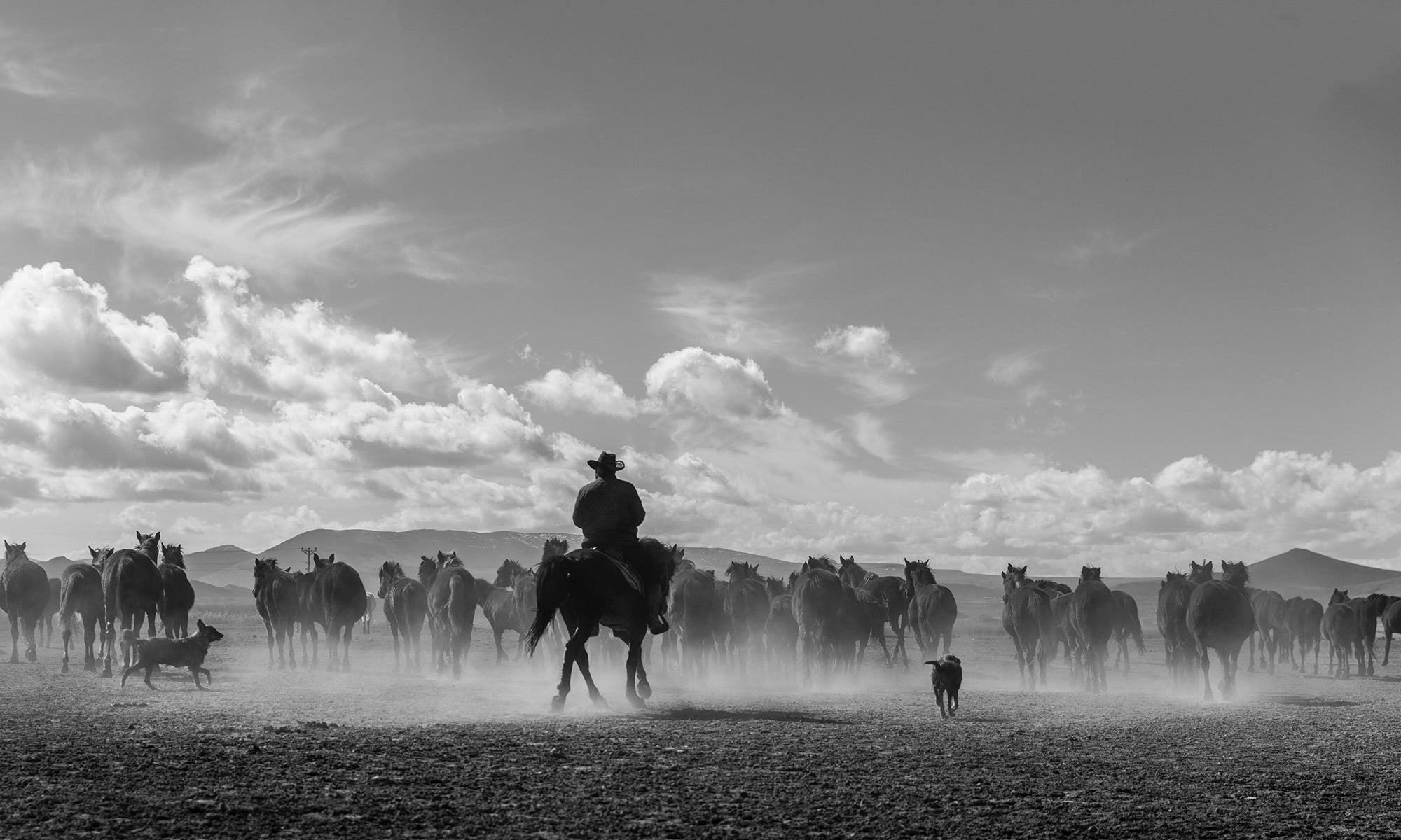 Explore Western Collection | Authentic Cowboy Boots & Apparel